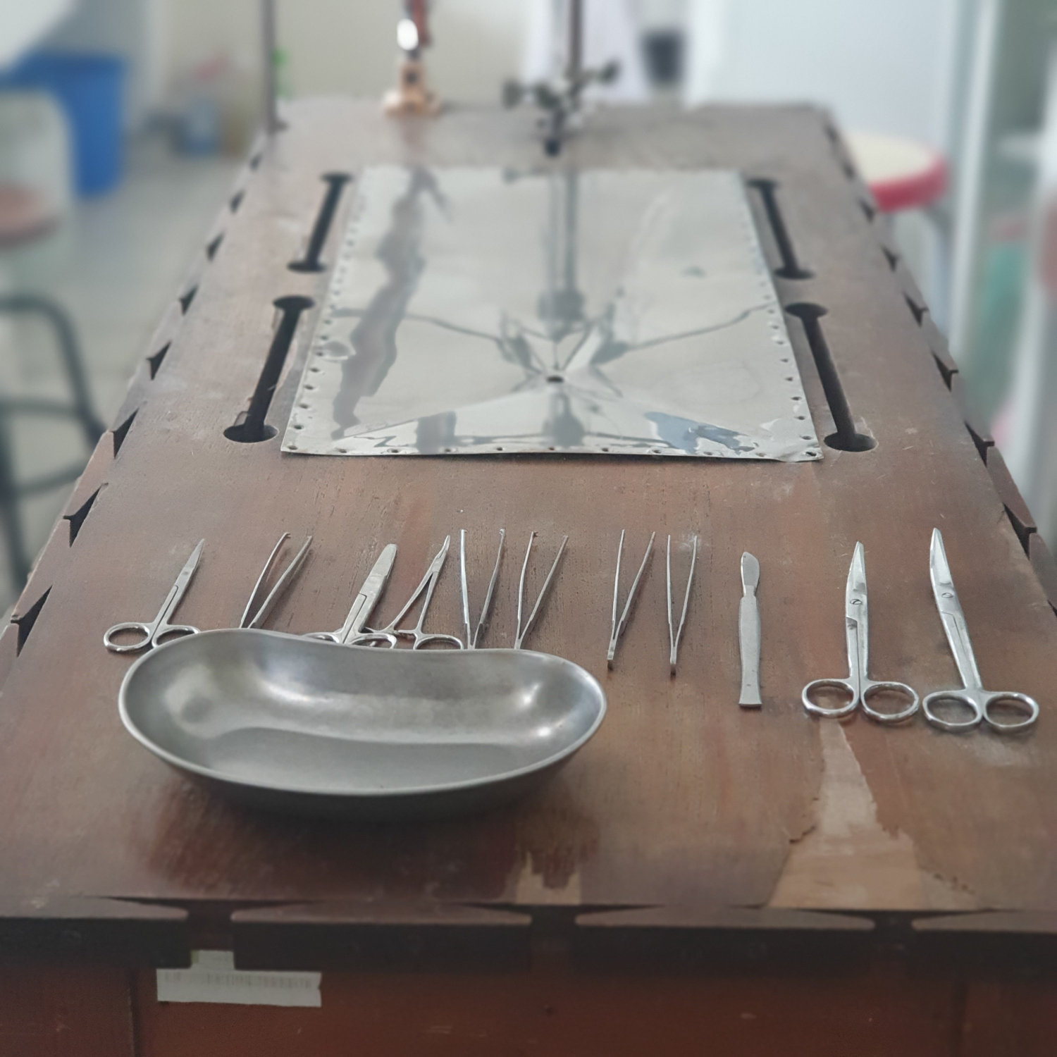 Lab. Hewan Coba – Departemen Fisiologi