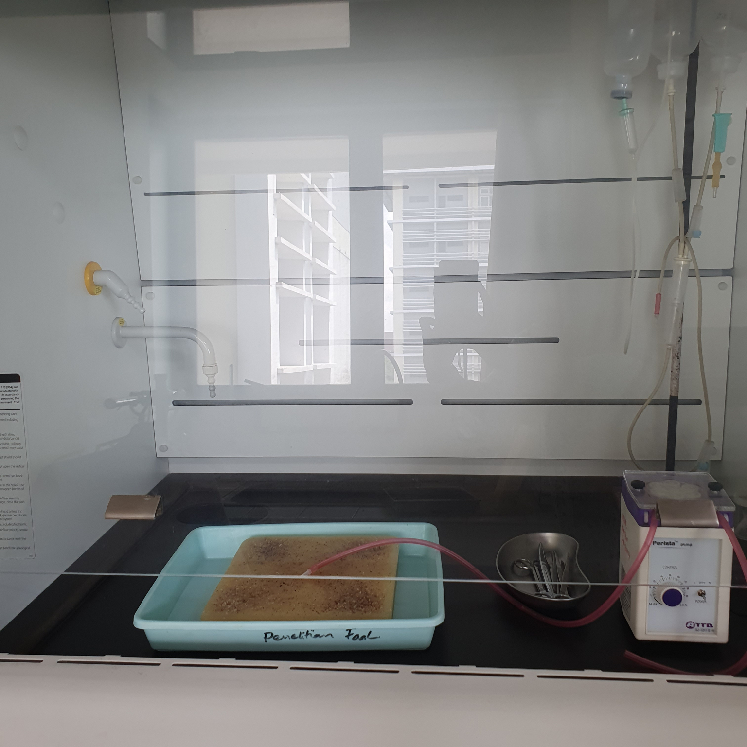 Lab. Hewan Coba – Departemen Fisiologi